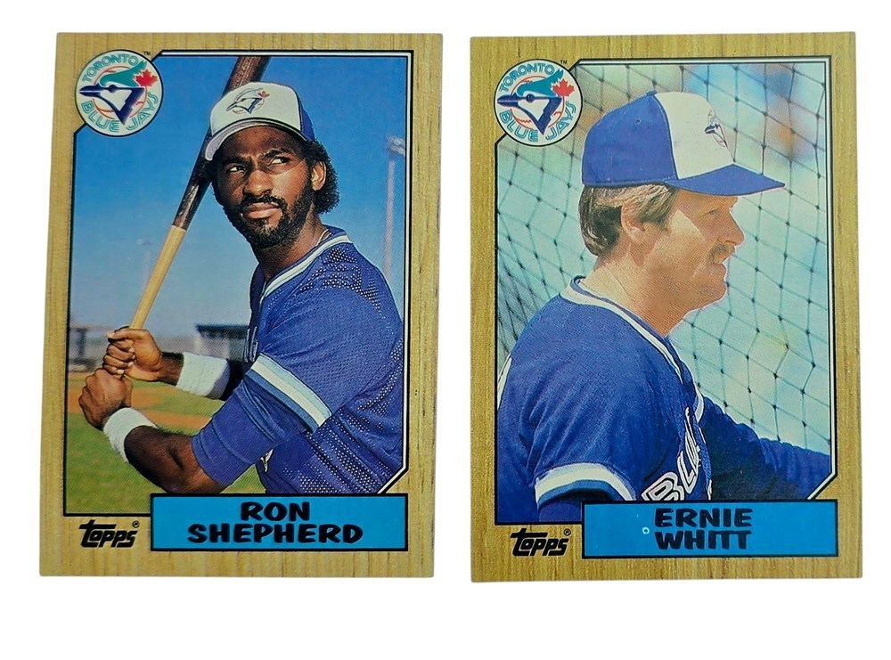 Rust Belt Revival Online Auctions - 1987 Ron Shepherd # 643 / Ernie ...