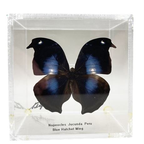 Rust Belt Revival Online Auctions - Peruvian Blue Hatchet Wing ...