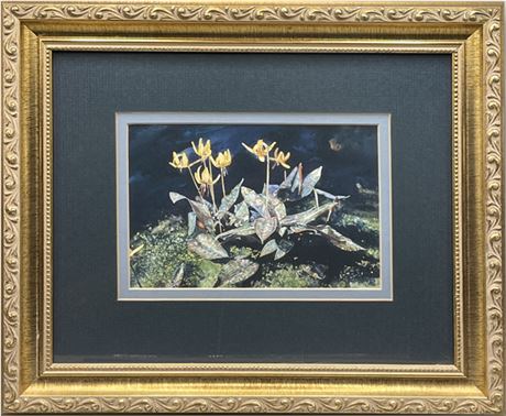 Rust Belt Revival Online Auctions - Mary Booth Cabot Watercolor, "Trout ...