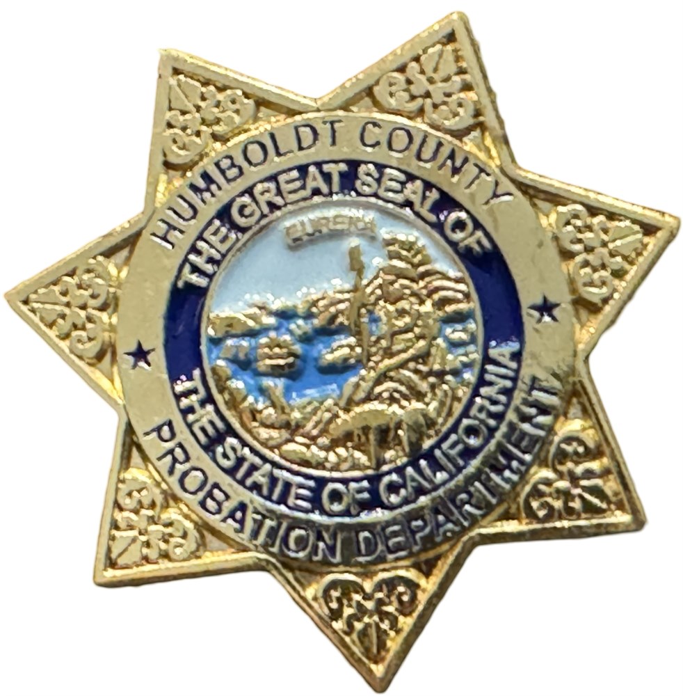 Rust Belt Revival Online Auctions - California Probation Department Pin ...