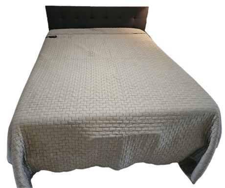 Rust Belt Revival Online Auctions - Enso Sleep Systems Electric Bed ...