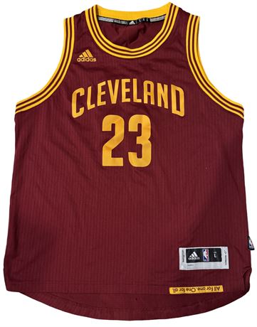 Rust Belt Revival Online Auctions - Cleveland Cavaliers LeBron James ...